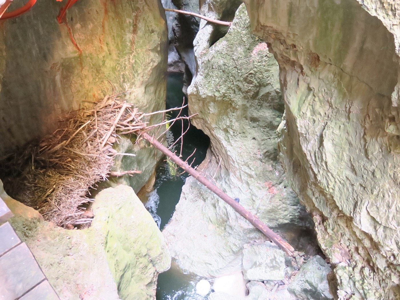 Les Gorges du Fier, l'incroyable canyon haut-savoyard - Découvrir les Alpes